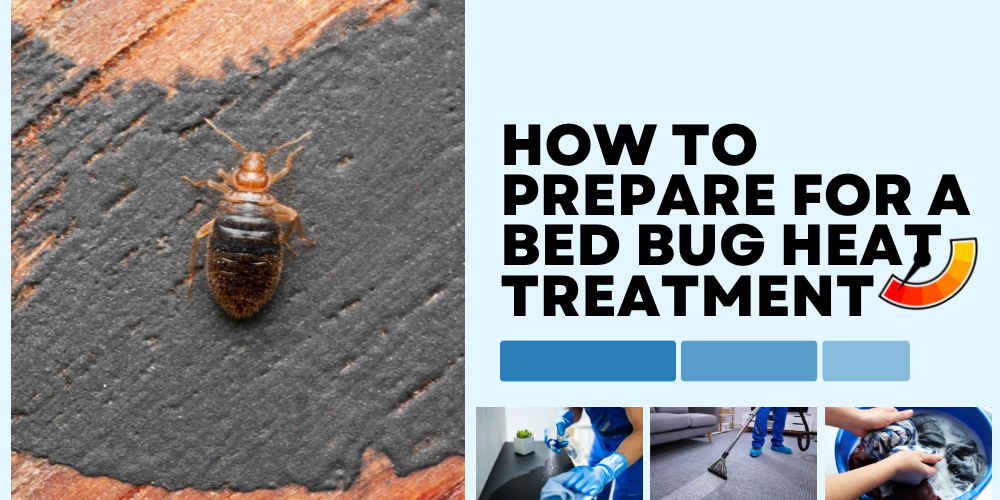How to Prepare for a Bed Bug Heat Treatment - Heat RX